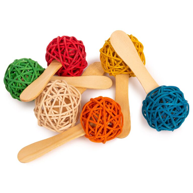 Jalamänguasjad Popsicle Lollipops 6 tk