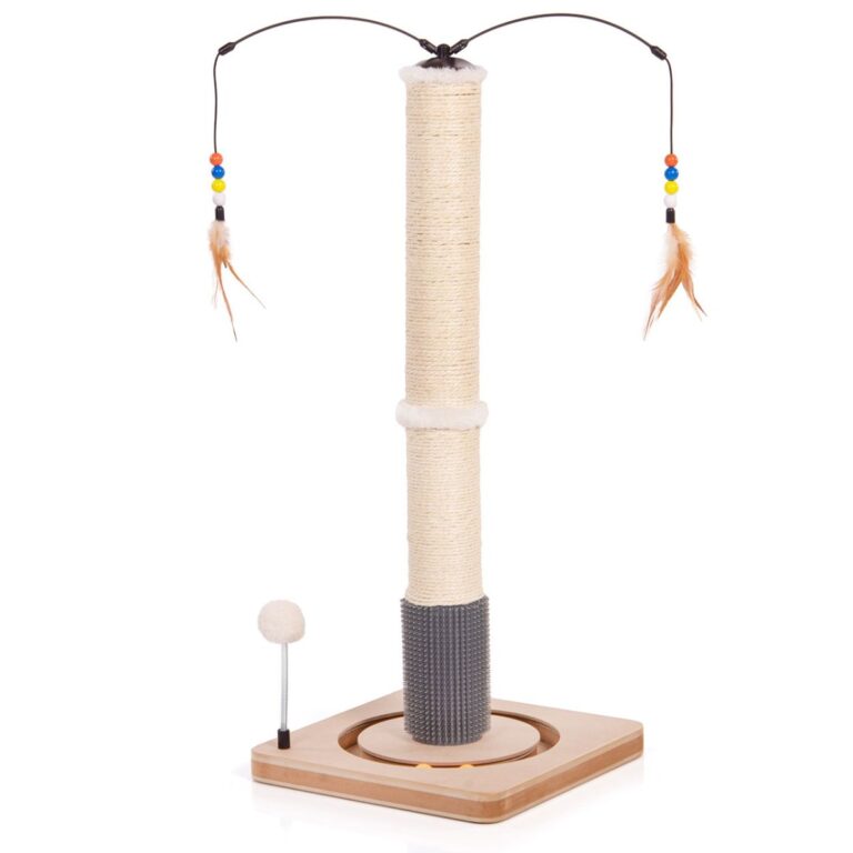 Canadian Cat Lilly kassi kraapimispost