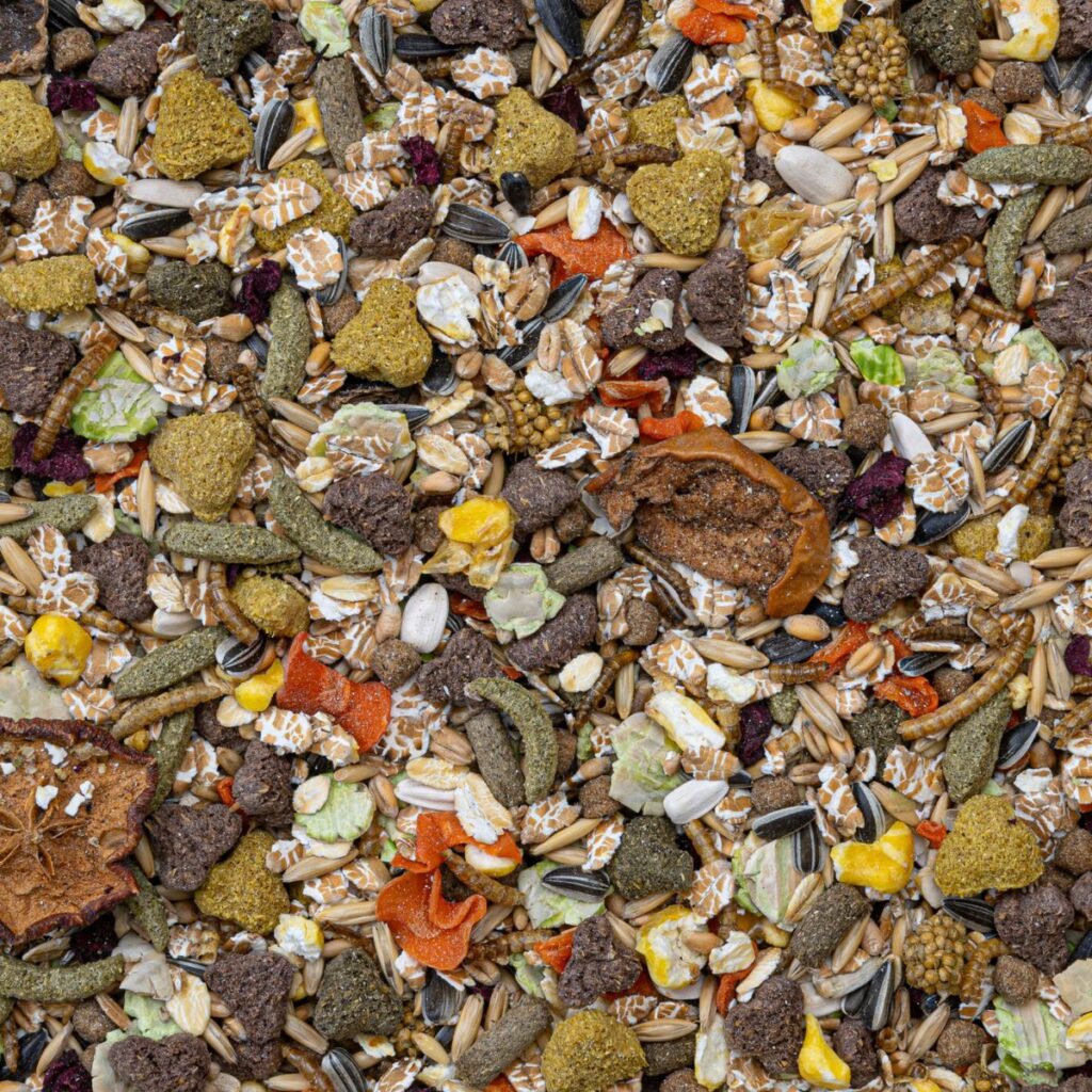 Rottide toidusegu Deli Nature Rodelicious Rats 2,5 kg